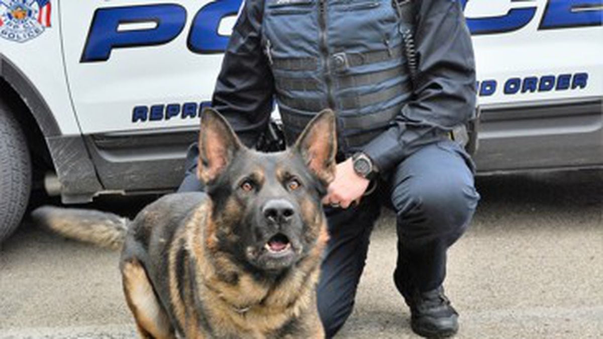 Kettering officer, K-9 receive awards for efforts in arrest